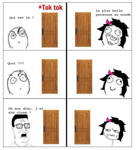 Toc toc, qui est là - Are you serious ? - Rage Comics Francais, Troll face